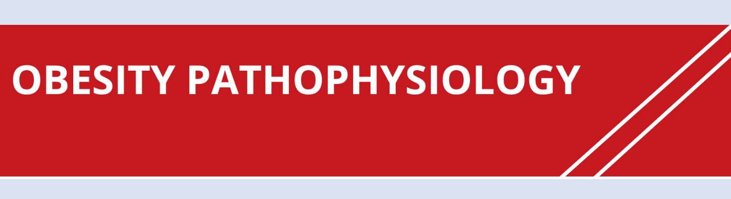 Resource Center | Supportive Obesity Care