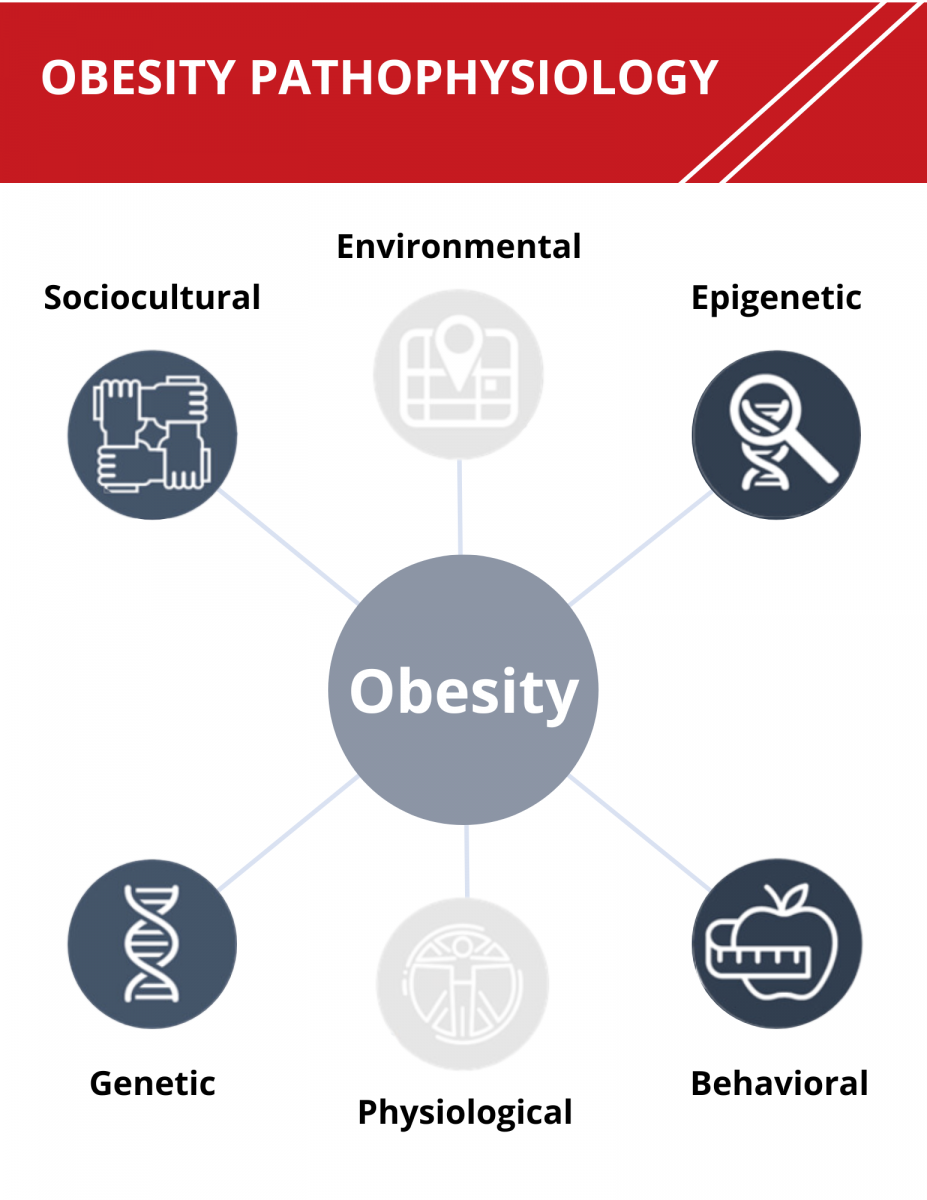 What is Weight Stigma? | Supportive Obesity Care | University of ...